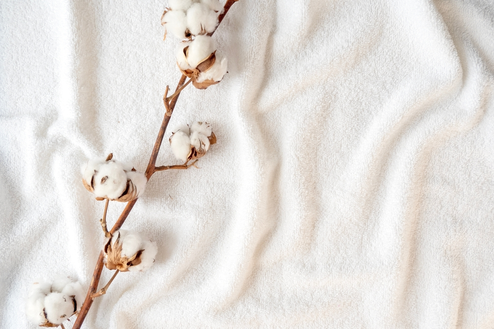 7 strong differences: Linen vs Cotton for Lasting Comfort